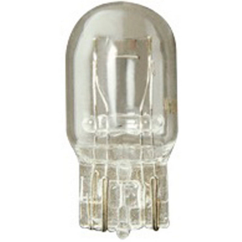 G580 12 Volt Double Contact Auto Light Bulb W21/5W - G580 (Beta) | Top ...