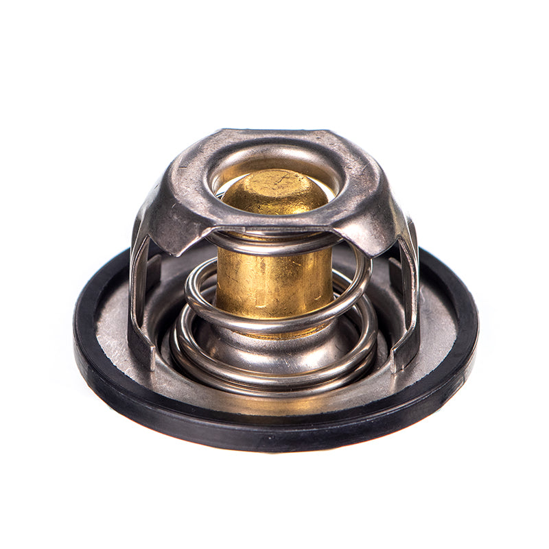 Thermostat - Ts5089 (Doe) | Top-Rated Vehicle Accessories at Affordable ...
