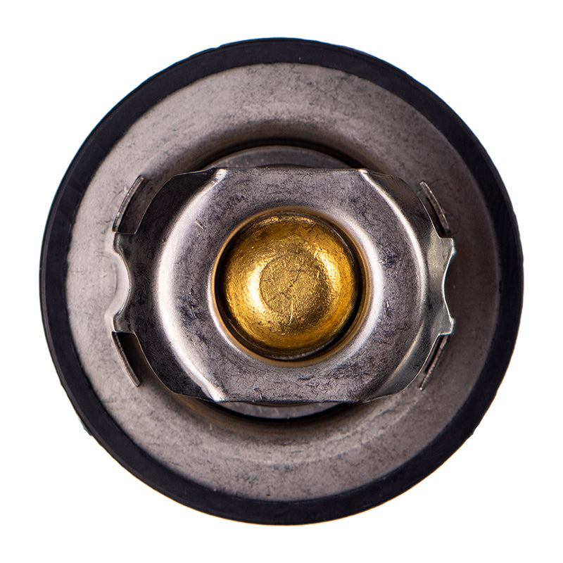 Thermostat - Ts5089 (Doe) | Top-Rated Vehicle Accessories at Affordable ...