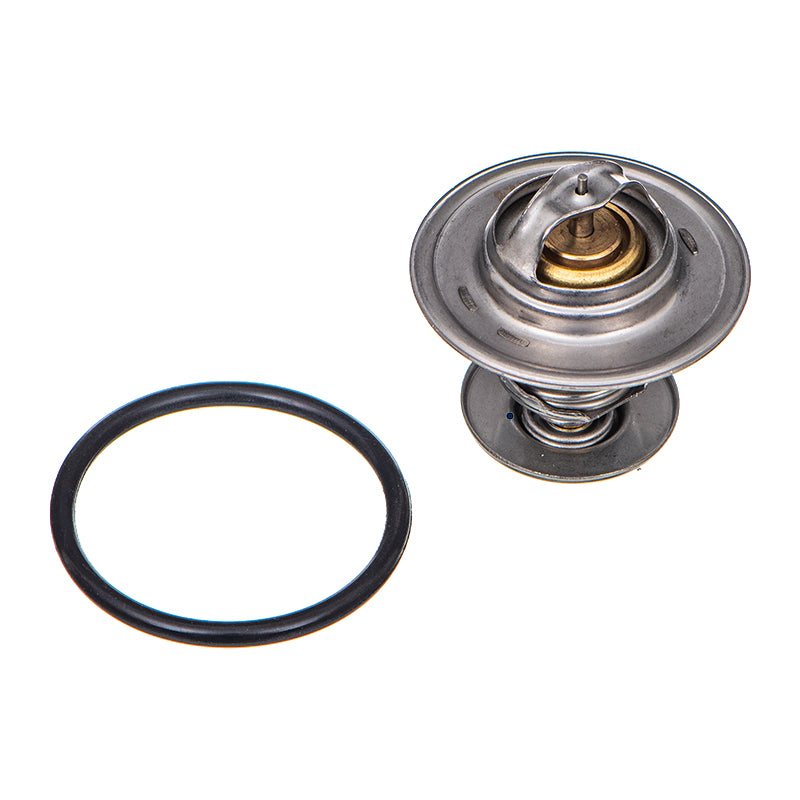 Thermostats - Vw316 (Beta) For Sale