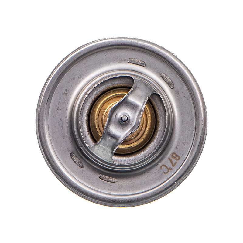 Thermostats - Vw316 (Beta) For Sale