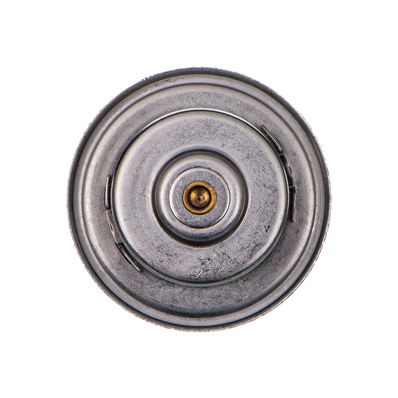 Thermostats - Vw316 (Beta) For Sale